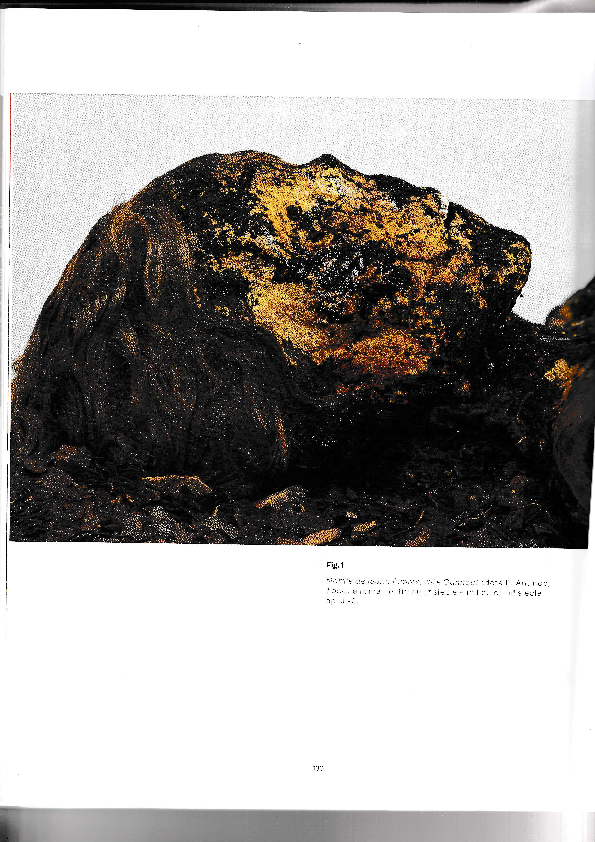 (PDF) Restes humains Dunkerque