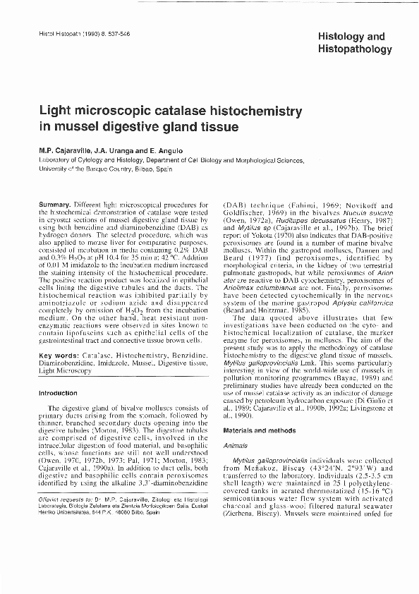(PDF) Light microscopic catalase histochemistry in mussel digestive ...