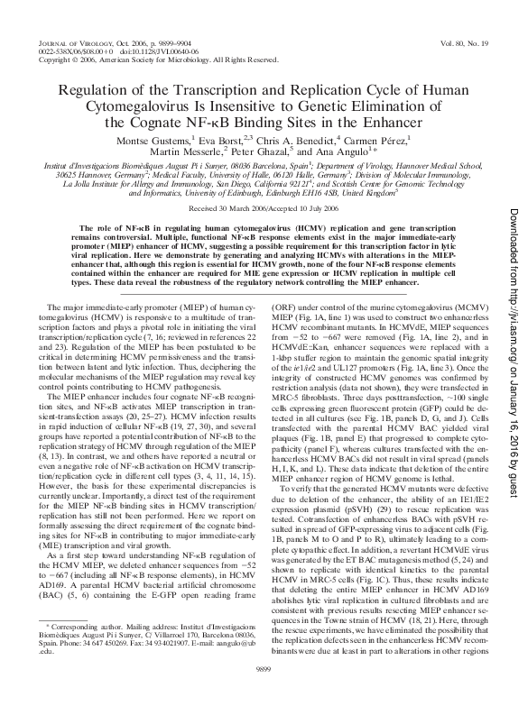 (PDF) Regulation of the Transcription and Replication Cycle of Human ...