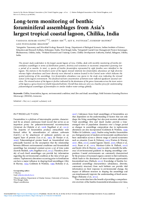 (PDF) Long-term monitoring of benthic foraminiferal assemblages from Asia's largest tropical ...