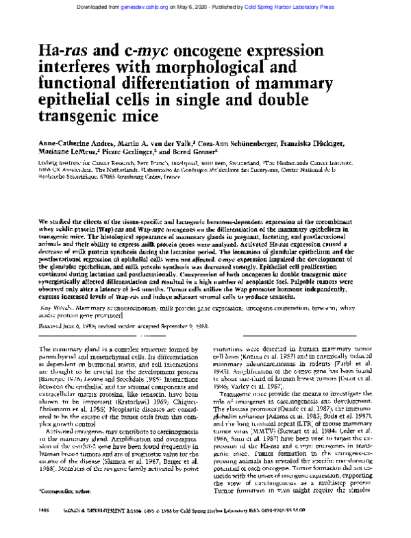 (PDF) Ha-ras and c-myc oncogene expression interferes with ...