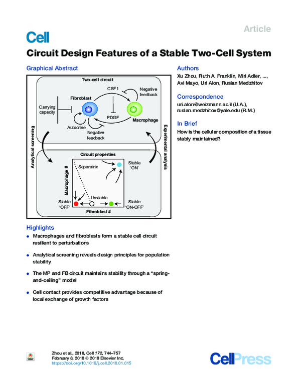 (PDF) Circuit Design Features of a Stable Two-Cell System