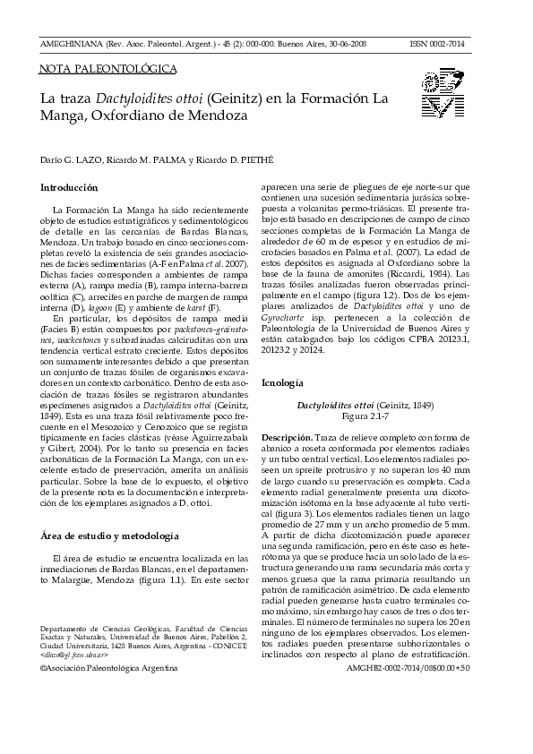 (PDF) La traza Dactyloidites ottoi (Geinitz) en la Formación La Manga ...