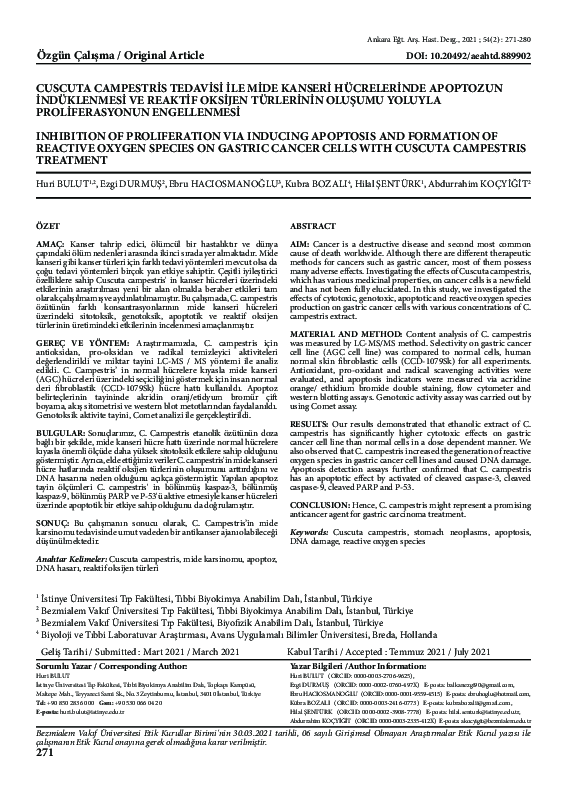 (PDF) Cuscuta campestris tedavisi ile Mide Kanseri Hücrelerinde ...
