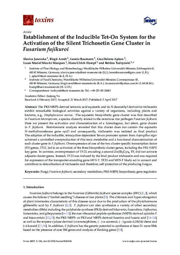 (PDF) Establishment of the Inducible Tet-On System for the Activation ...
