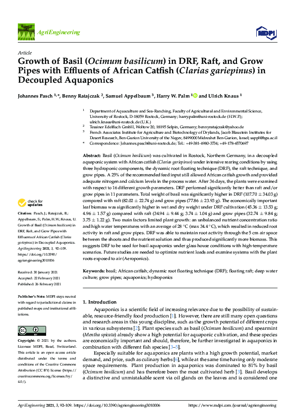 (PDF) Growth of Basil (Ocimum basilicum) in DRF, Raft, and Grow Pipes ...