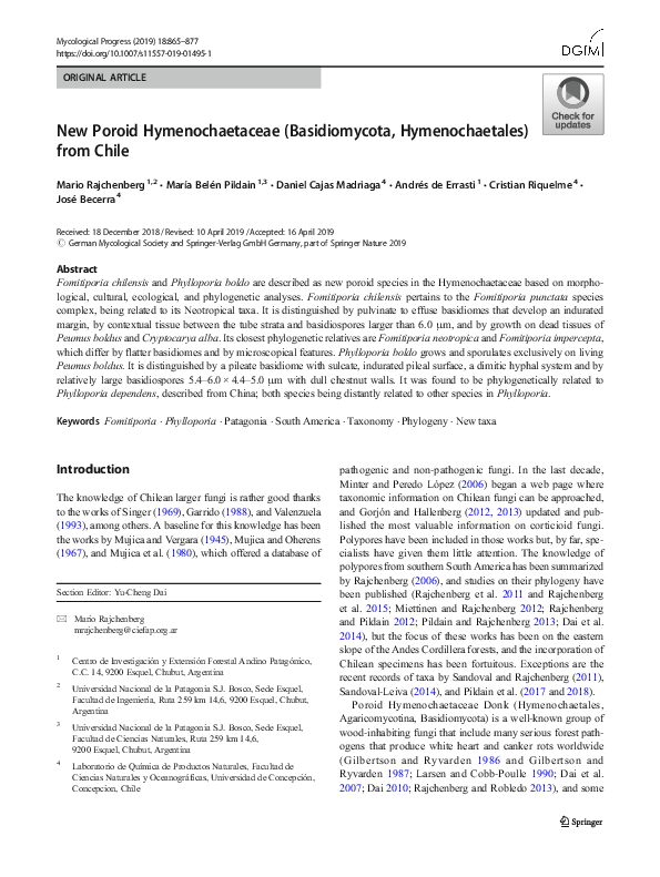 (PDF) New Poroid Hymenochaetaceae (Basidiomycota, Hymenochaetales) from ...