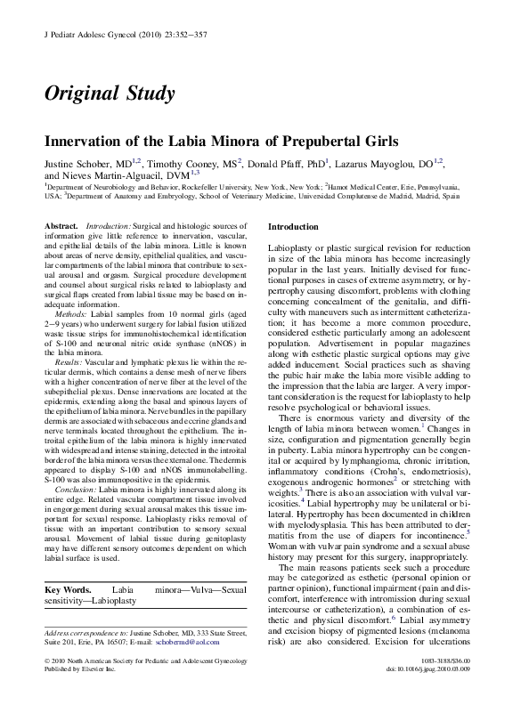 (PDF) Innervation of the Labia Minora of Prepubertal Girls