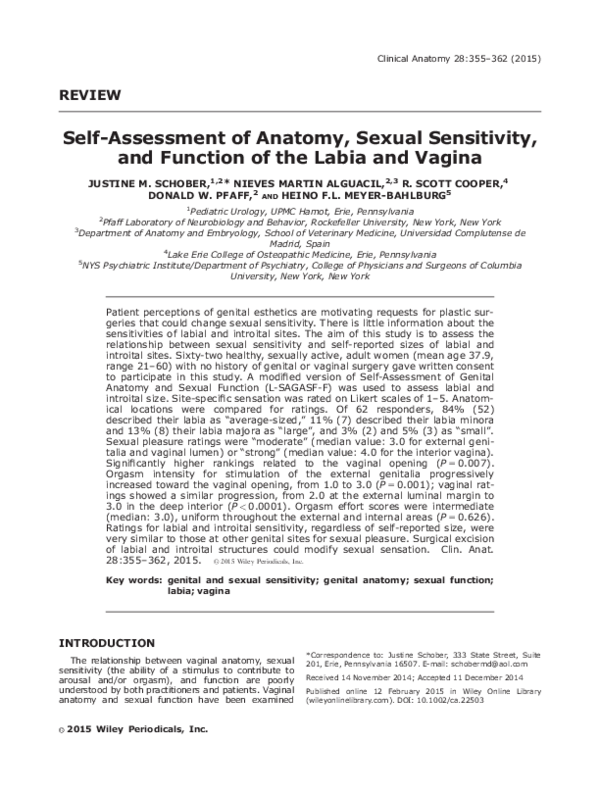 Pdf Self Assessment Of Anatomy Sexual Sensitivity And Function Of