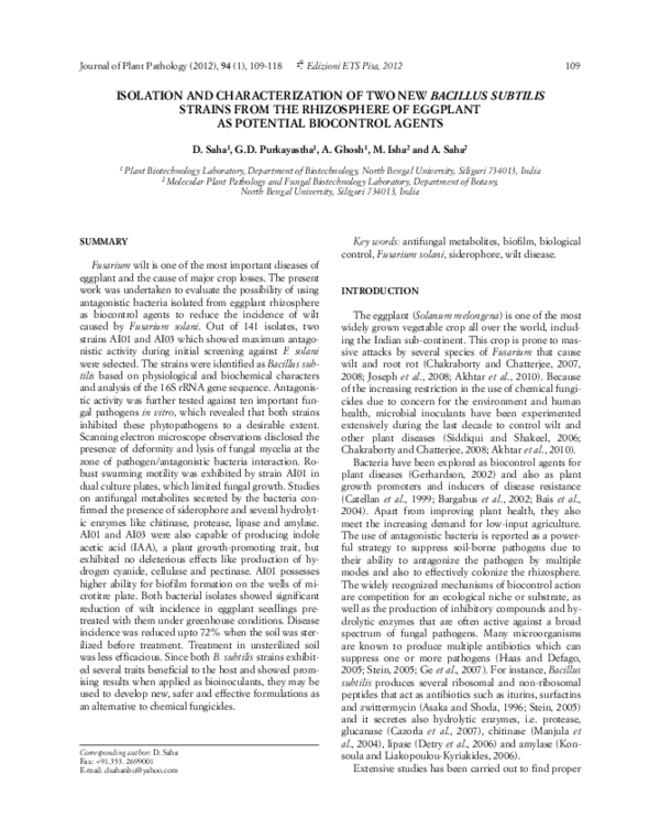 Pdf Isolation And Characterization Of Two New Bacillus Subtilis Strains From The Rhizosphere