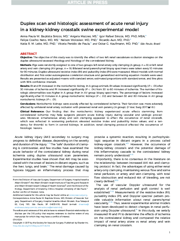 (PDF) Duplex scan and histologic assessment of acute renal injury in a ...