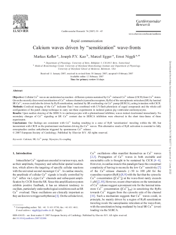 (PDF) Calcium waves driven by “sensitization” wave-fronts