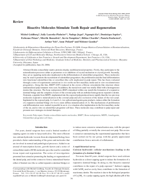(PDF) Bioactive Molecules Stimulate Tooth Repair and Regeneration | anne poliard - Academia.edu