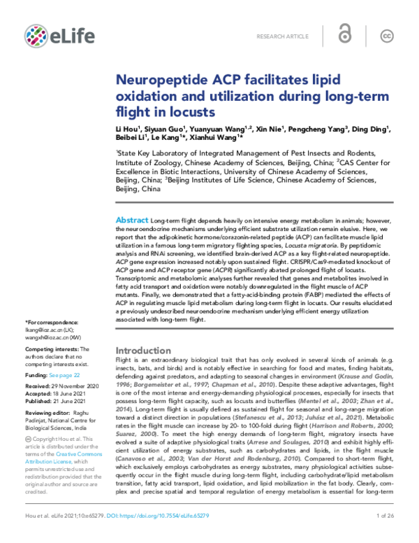 (PDF) Neuropeptide ACP facilitates lipid oxidation and utilization ...