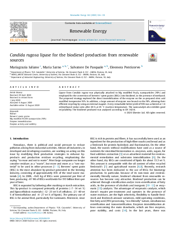 (PDF) Candida rugosa lipase for the biodiesel production from renewable ...