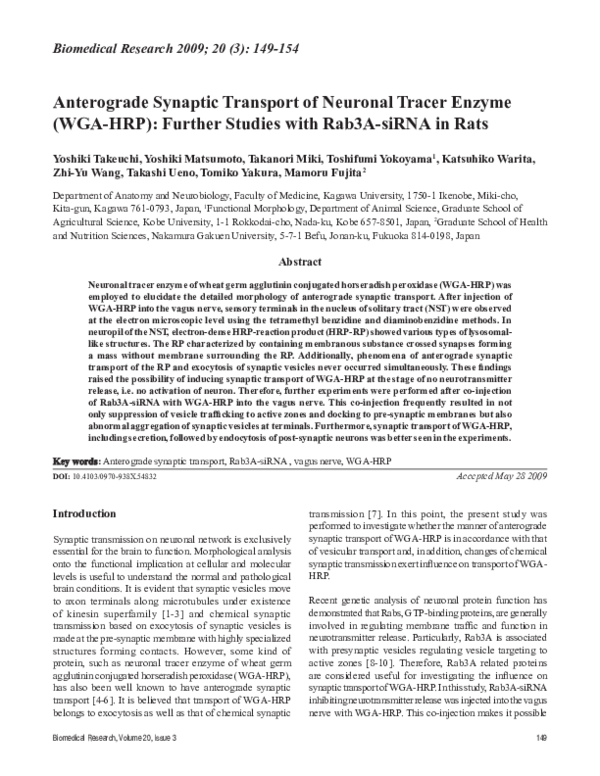 (PDF) Anterograde synaptic transport of neuronal tracer enzyme (WGA-HRP ...
