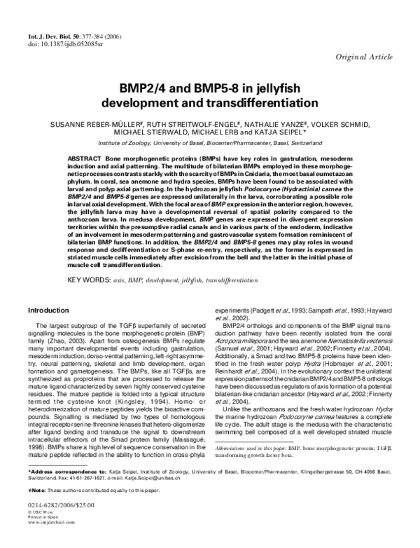 (PDF) BMP2/4 and BMP5-8 in jellyfish development and ...