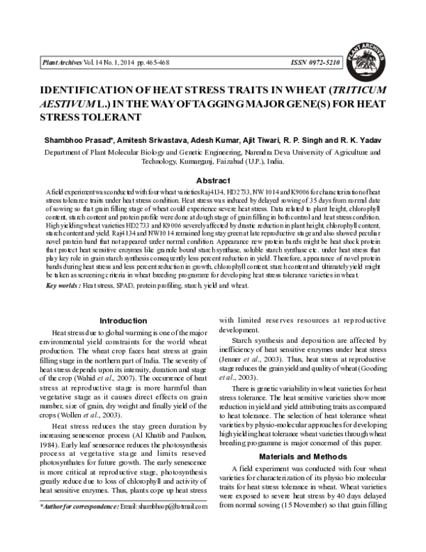 (PDF) Identification of Heat Stress Traits in Wheat (Triticum Aestivum L.) in the Way of Tagging ...