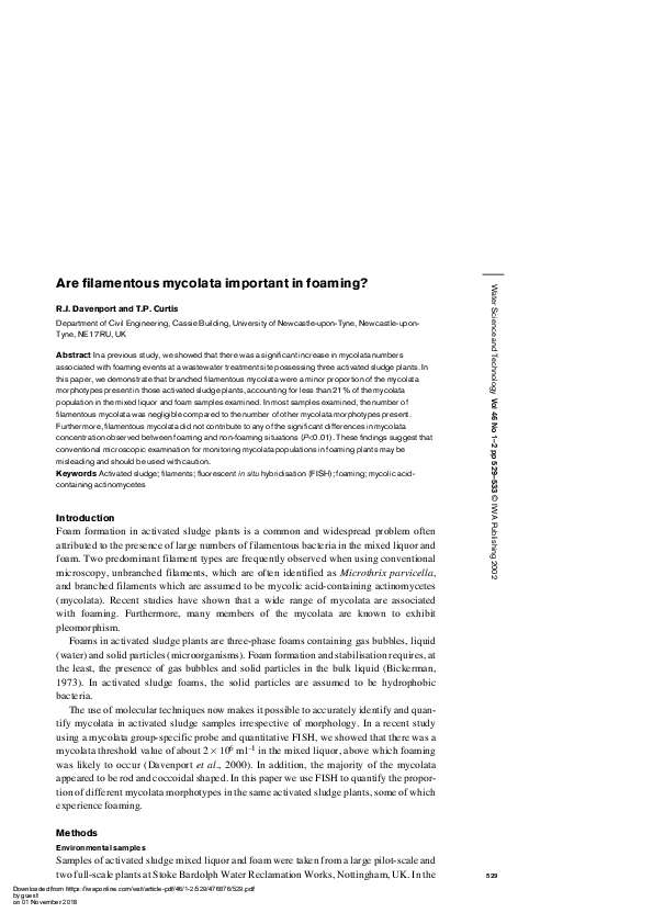 (PDF) Are filamentous mycolata important in foaming?