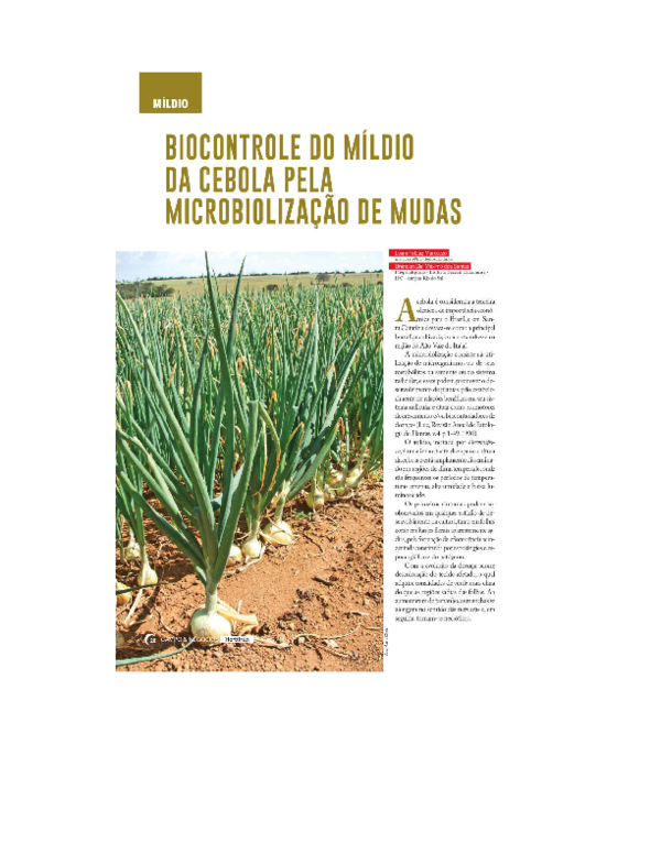 (PDF) Biocontrole do míldio da cebola pela microbiolização de mudas ...