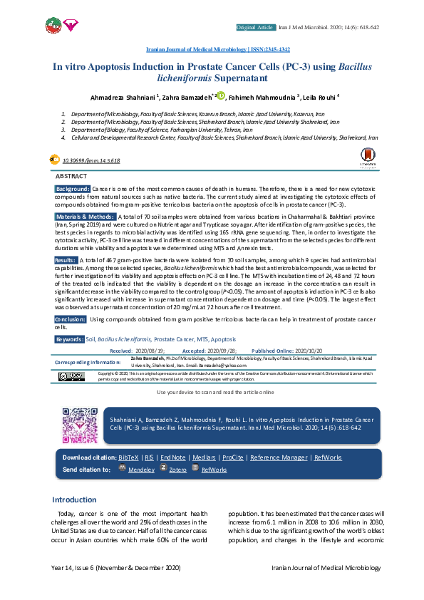 (PDF) Phonotypic Investigation of Biofilm Formation and Determination ...