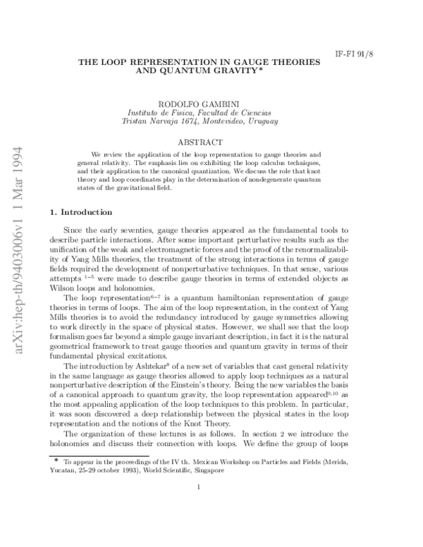 (PDF) The Loop representation in gauge theories and quantum gravity