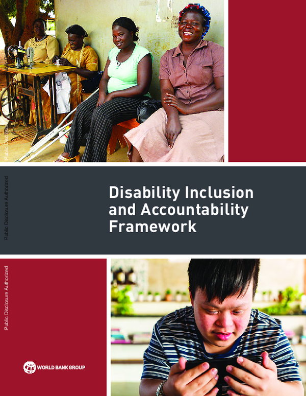 (PDF) Disability inclusion and accountability framework