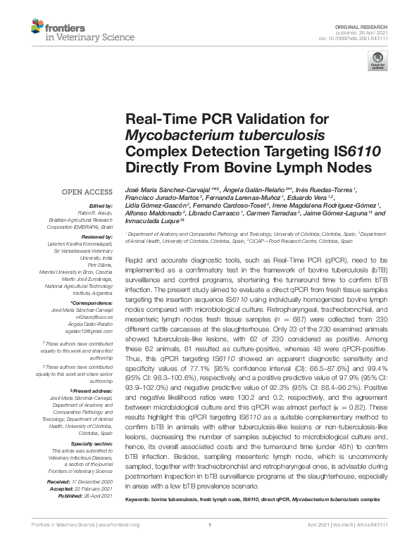 Pdf Real Time Pcr Validation For Mycobacterium Tuberculosis Complex Detection Targeting Is6110