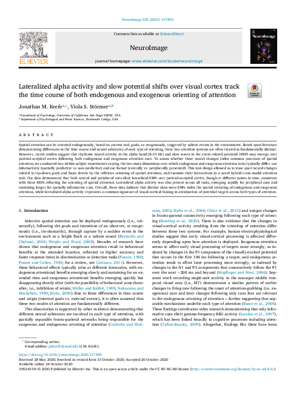 (PDF) Lateralized alpha activity and slow potential shifts over visual ...