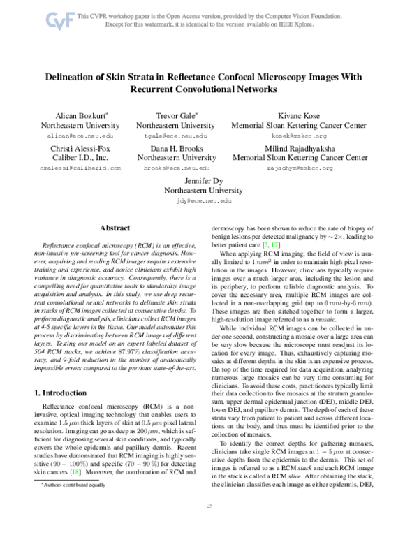 (PDF) Delineation of Skin Strata in Reflectance Confocal Microscopy ...