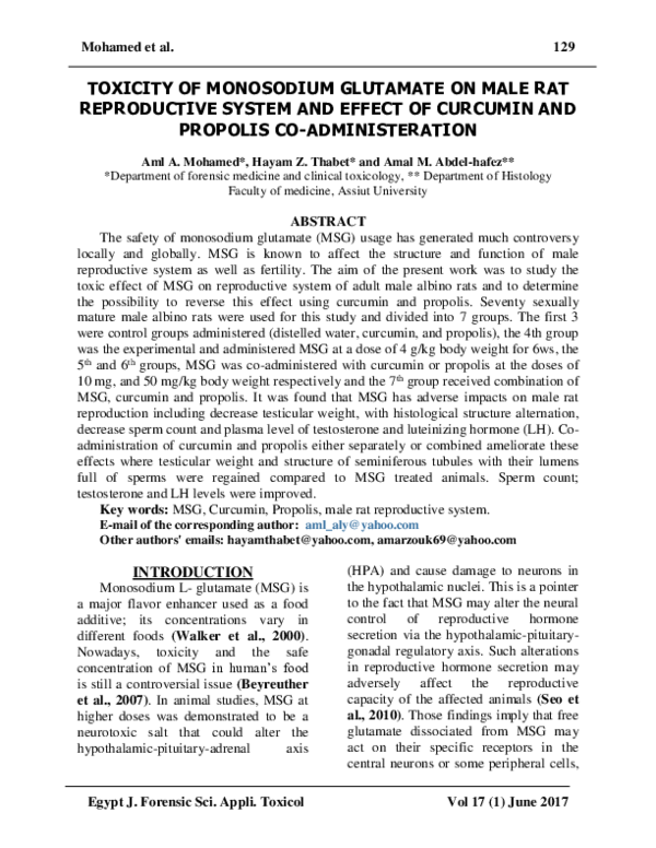 (PDF) Toxicity of Monosodium Glutamate on Male Rat Reproductive System ...