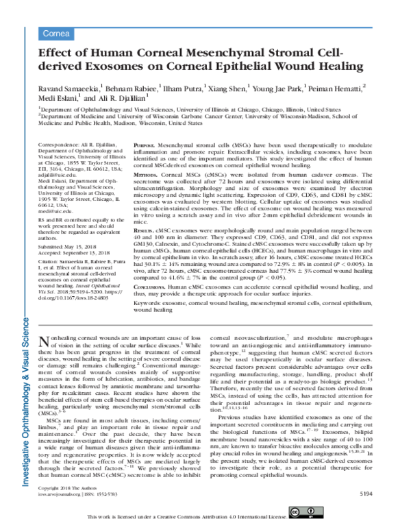 (PDF) Effect of Human Corneal Mesenchymal Stromal Cell-derived Exosomes ...