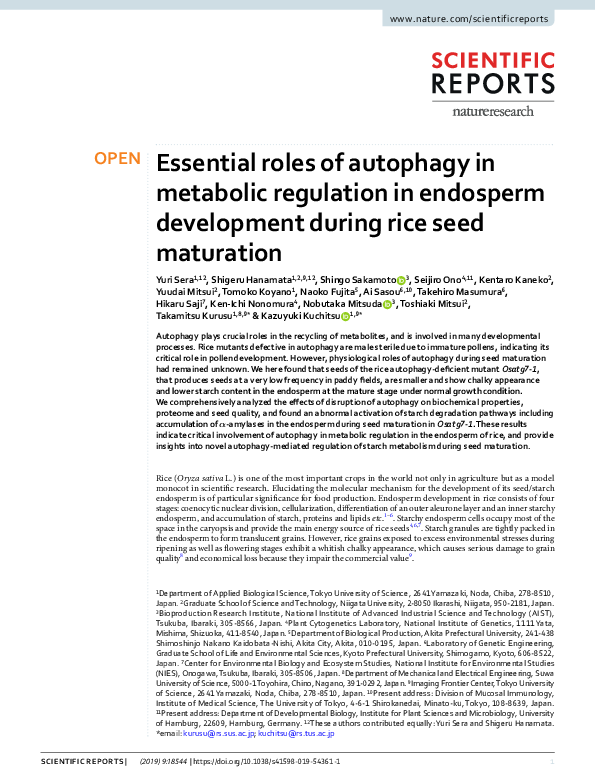 (PDF) Essential roles of autophagy in metabolic regulation in endosperm ...