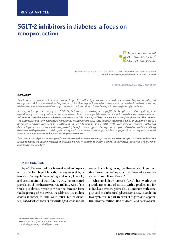 (PDF) SGLT-2 inhibitors in diabetes: a focus on renoprotection