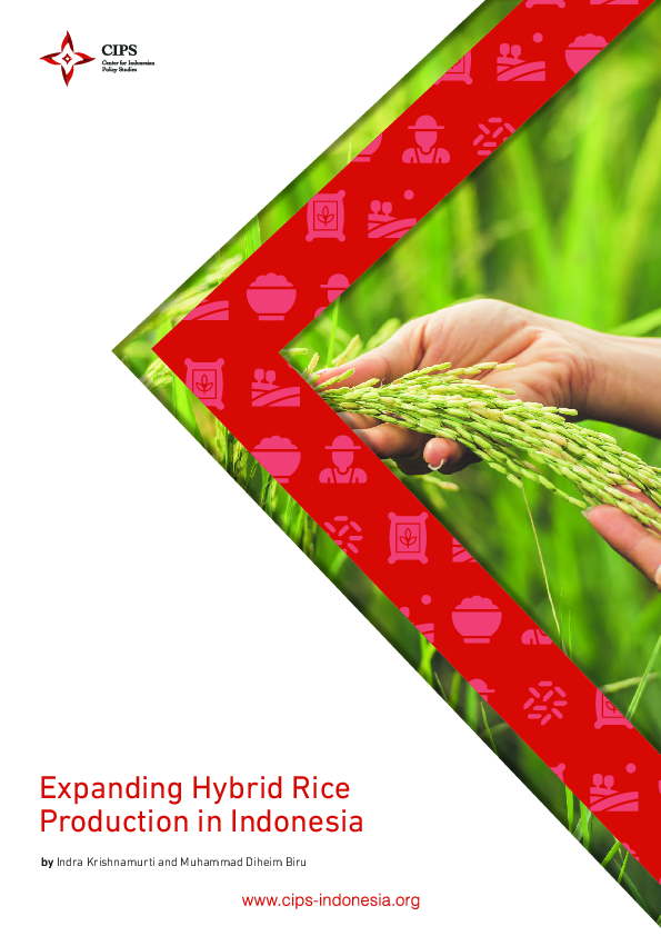 (PDF) Expanding Hybrid Rice Production in Indonesia
