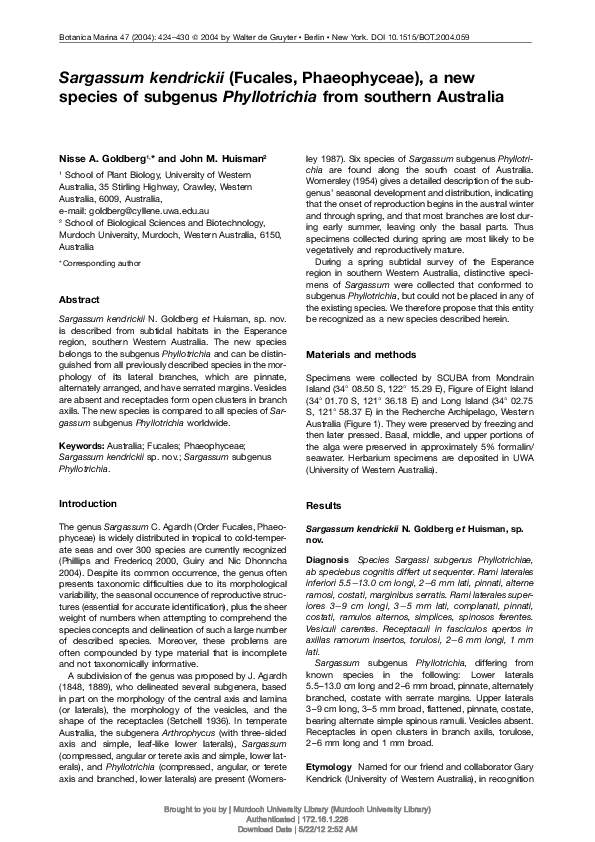 (PDF) Sargassum kendrickii (Fucales, Phaeophyceae), a new species of ...
