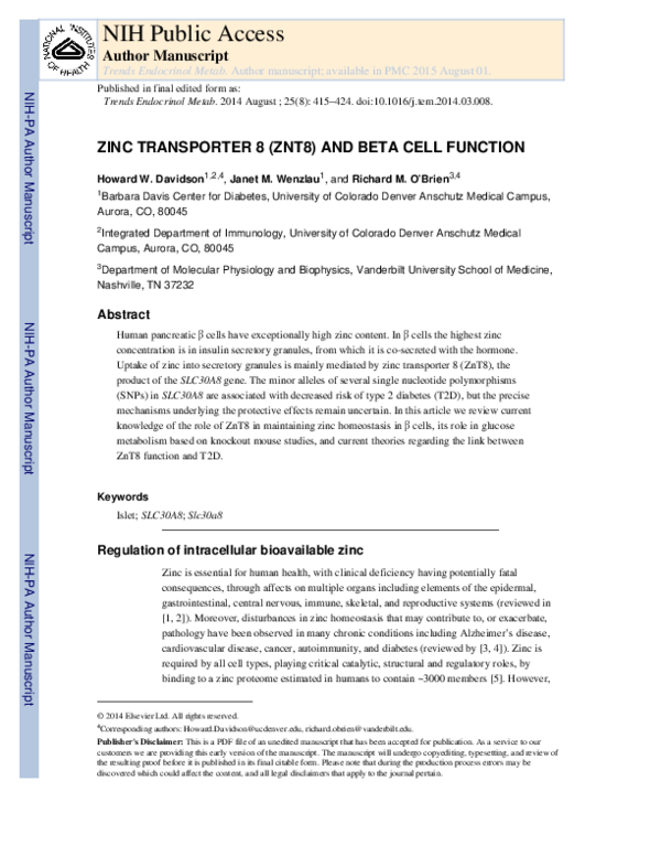 (PDF) Zinc transporter 8 (ZnT8) and β cell function