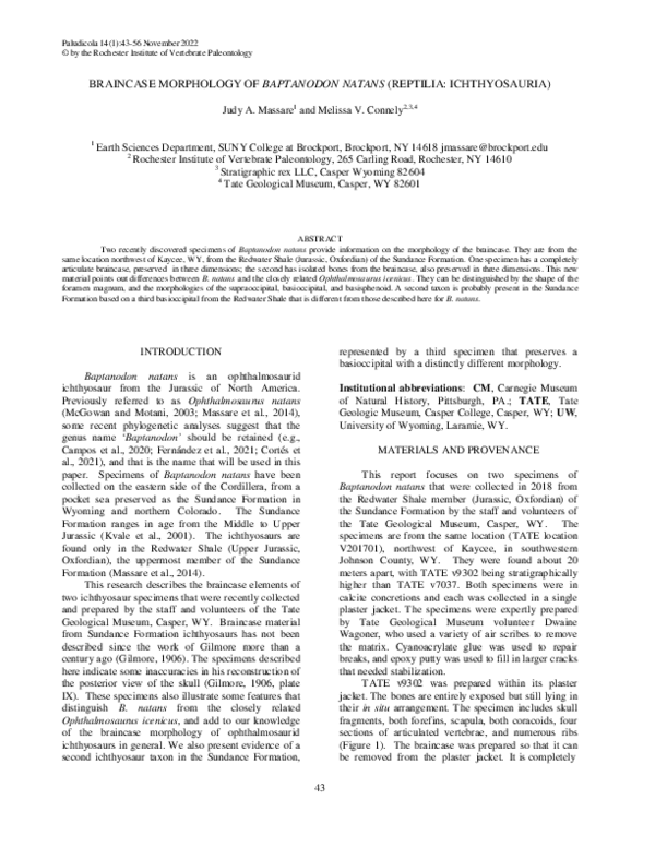 (PDF) BRAINCASE MORPHOLOGY OF BAPTANODON NATANS (REPTILIA: ICHTHYOSAURIA