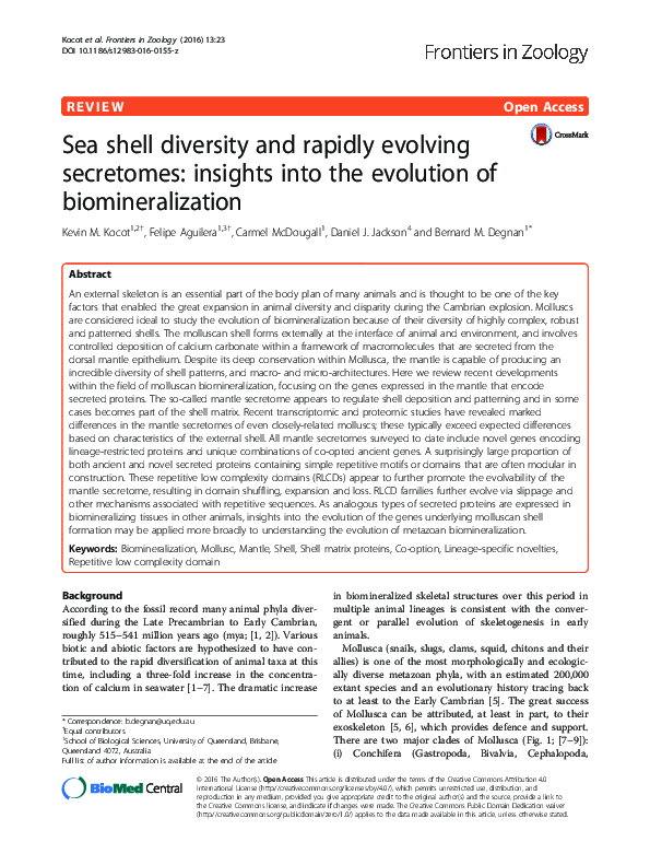 (PDF) Sea shell diversity and rapidly evolving secretomes: insights ...