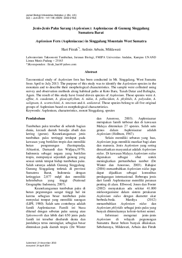 (PDF) Jenis-Jenis Paku Sarang (Asplenium): Aspleniaceae di Gunung ...
