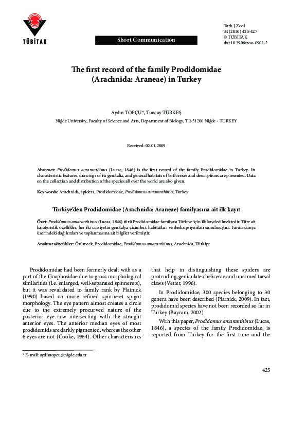 (PDF) The first record of the family Prodidomidae (Arachnida: Araneae ...