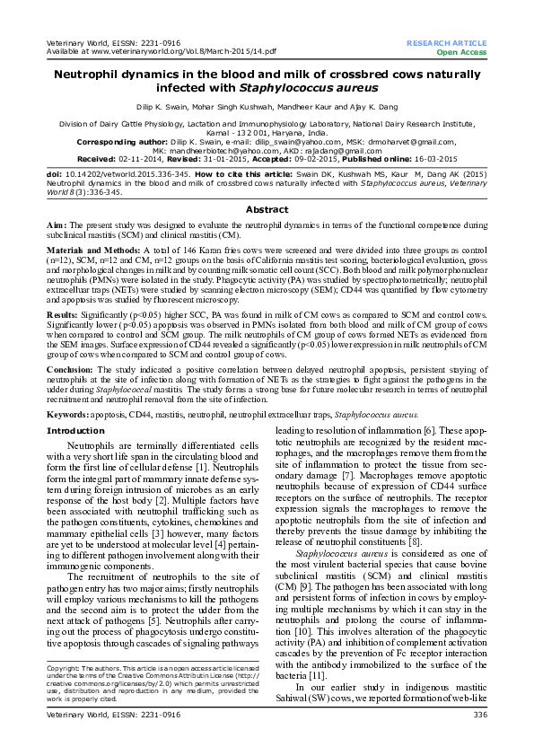 (PDF) Neutrophil dynamics in the blood and milk of crossbred cows ...