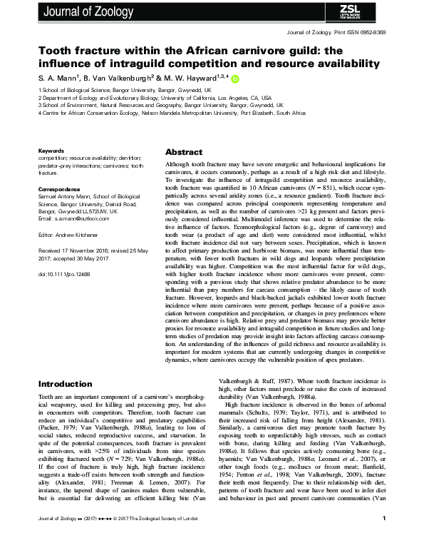 (PDF) Tooth fracture within the African carnivore guild: the influence ...