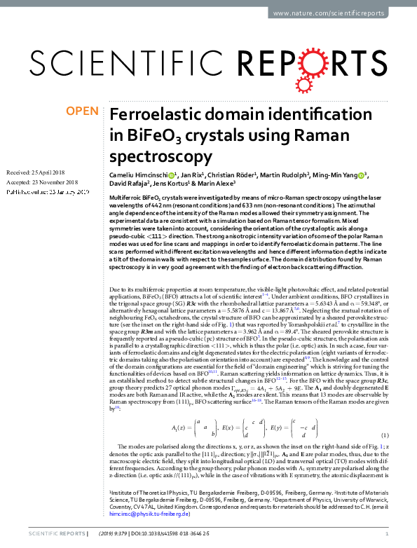 (PDF) Ferroelastic domain identification in BiFeO3 crystals using Raman ...