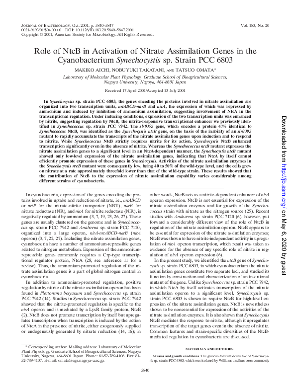 (PDF) Role of NtcB in Activation of Nitrate Assimilation Genes in the ...