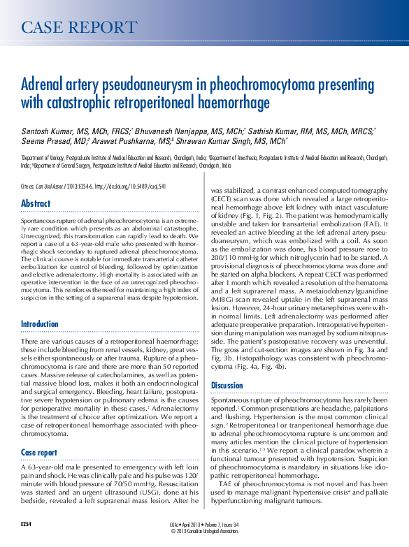 (PDF) Adrenal artery pseudoaneurysm in pheochromocytoma presenting with ...