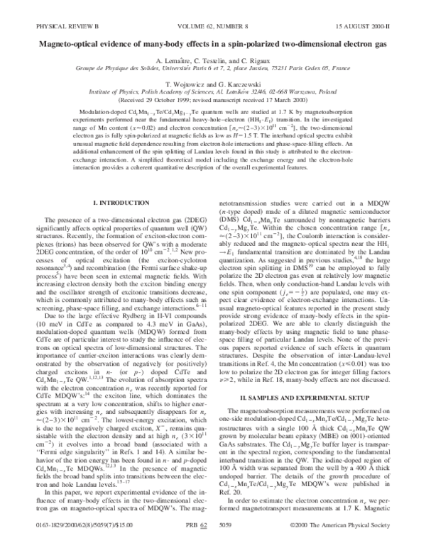 (PDF) Magneto-optical evidence of many-body effects in a spin-polarized ...