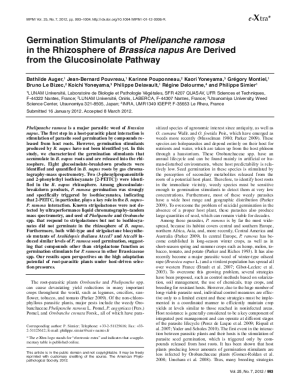 (PDF) Germination Stimulants of Phelipanche ramosa in the Rhizosphere ...