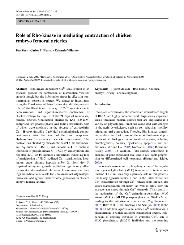 (PDF) Role of Rho-kinase in mediating contraction of chicken embryo ...