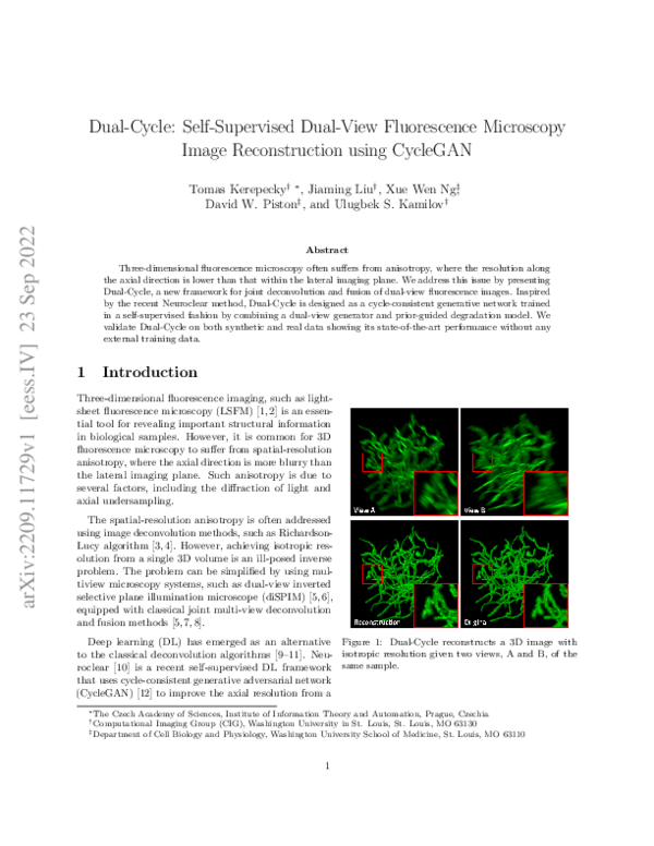 (PDF) Dual-Cycle: Self-Supervised Dual-View Fluorescence Microscopy Image Reconstruction using ...